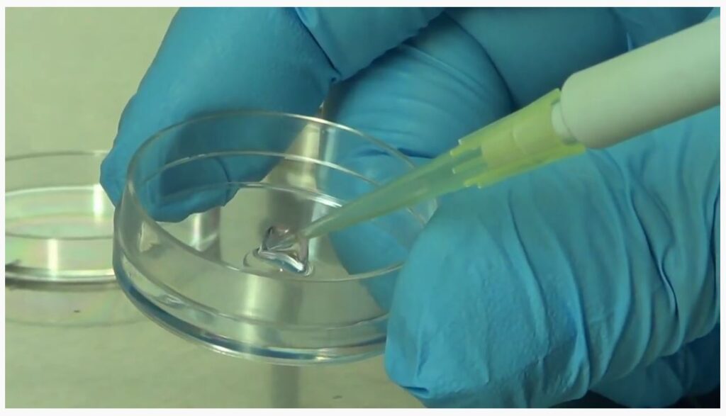 Cellendes launches a video showing the photopolymerization process of ...