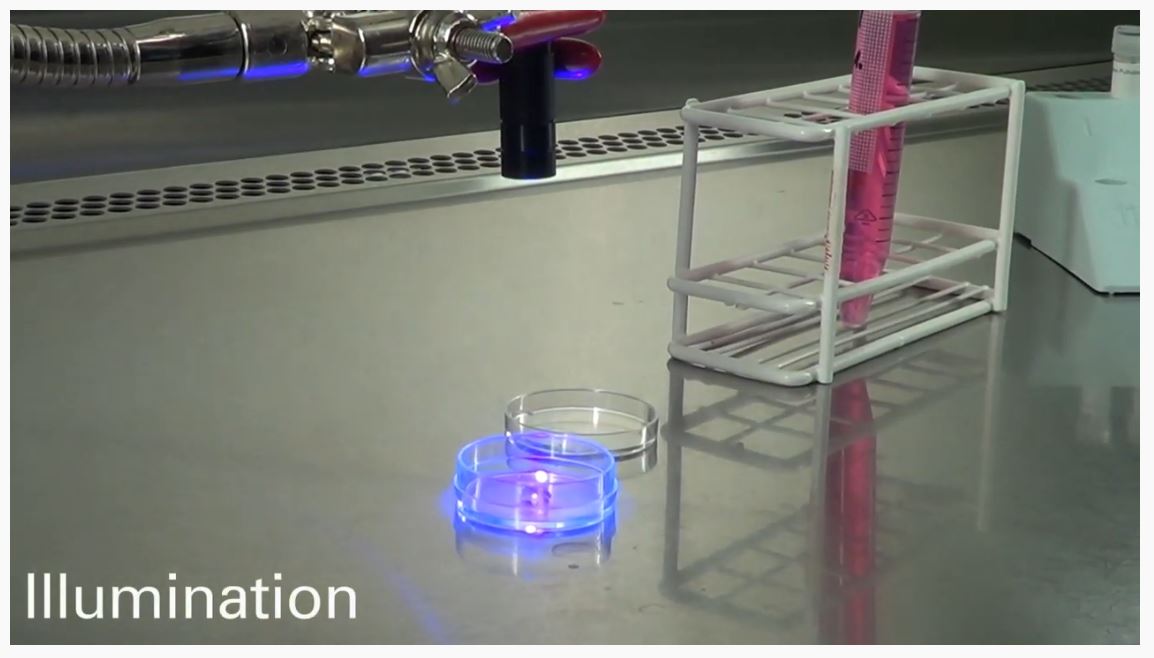 Cellendes launches a video showing the photopolymerization process of ...